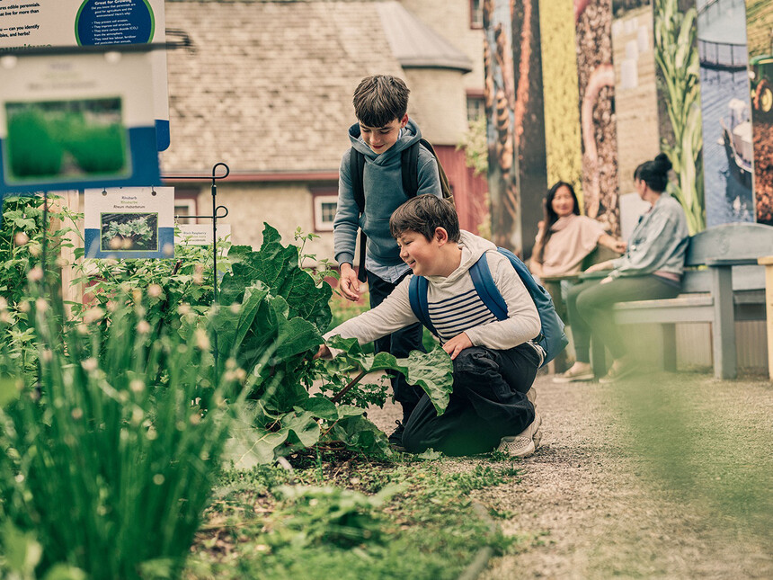 Discovery park | Meer