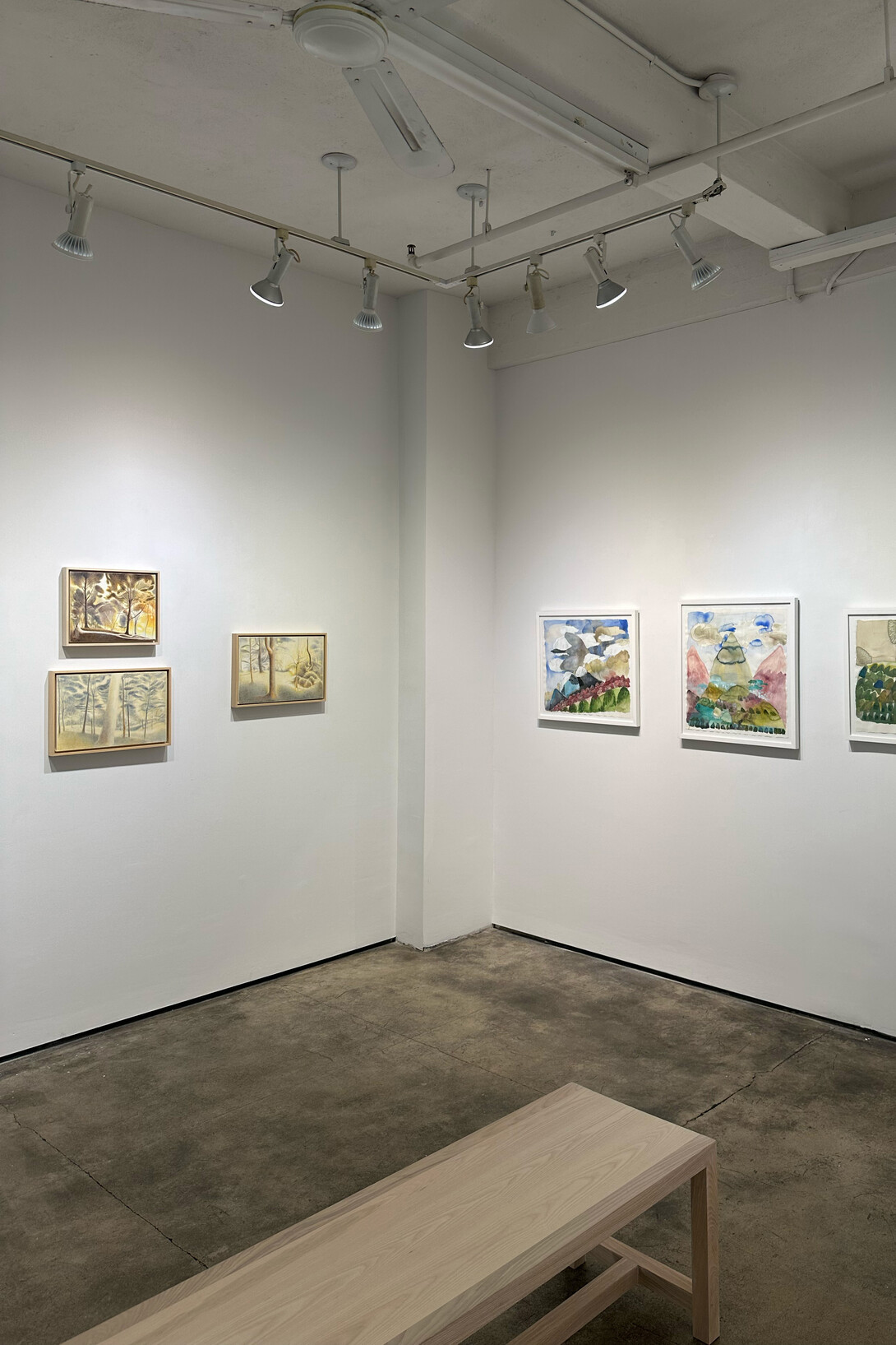 An observant nature | Meer