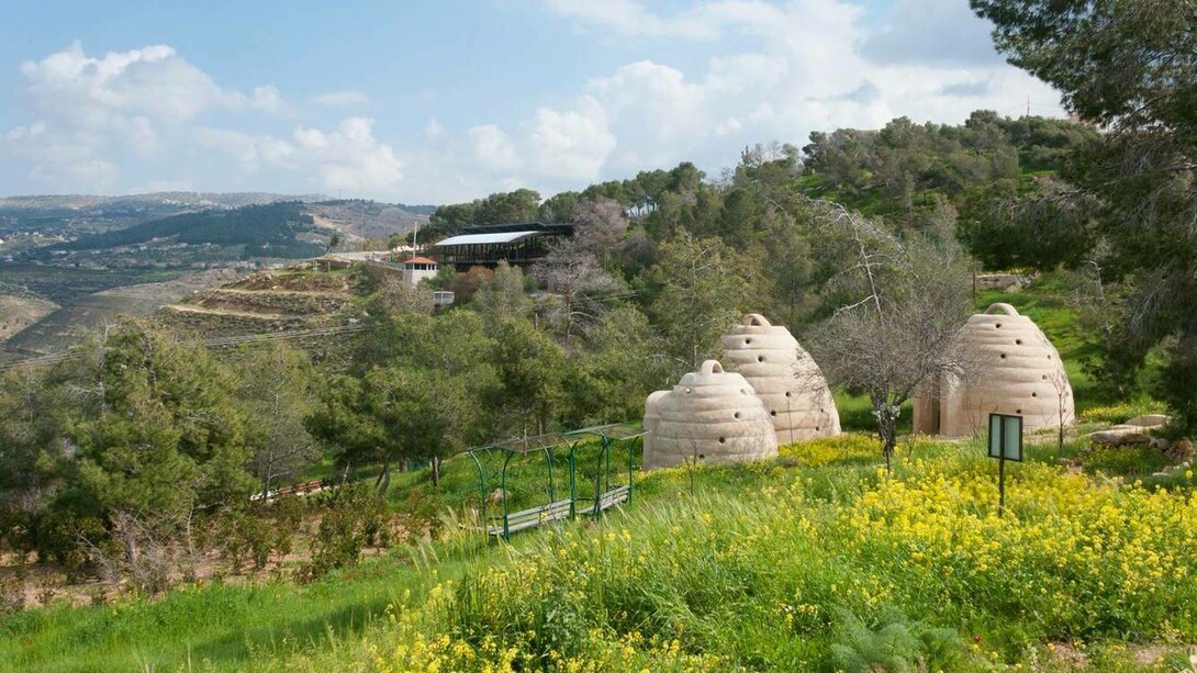 Architecture & Design | Meer