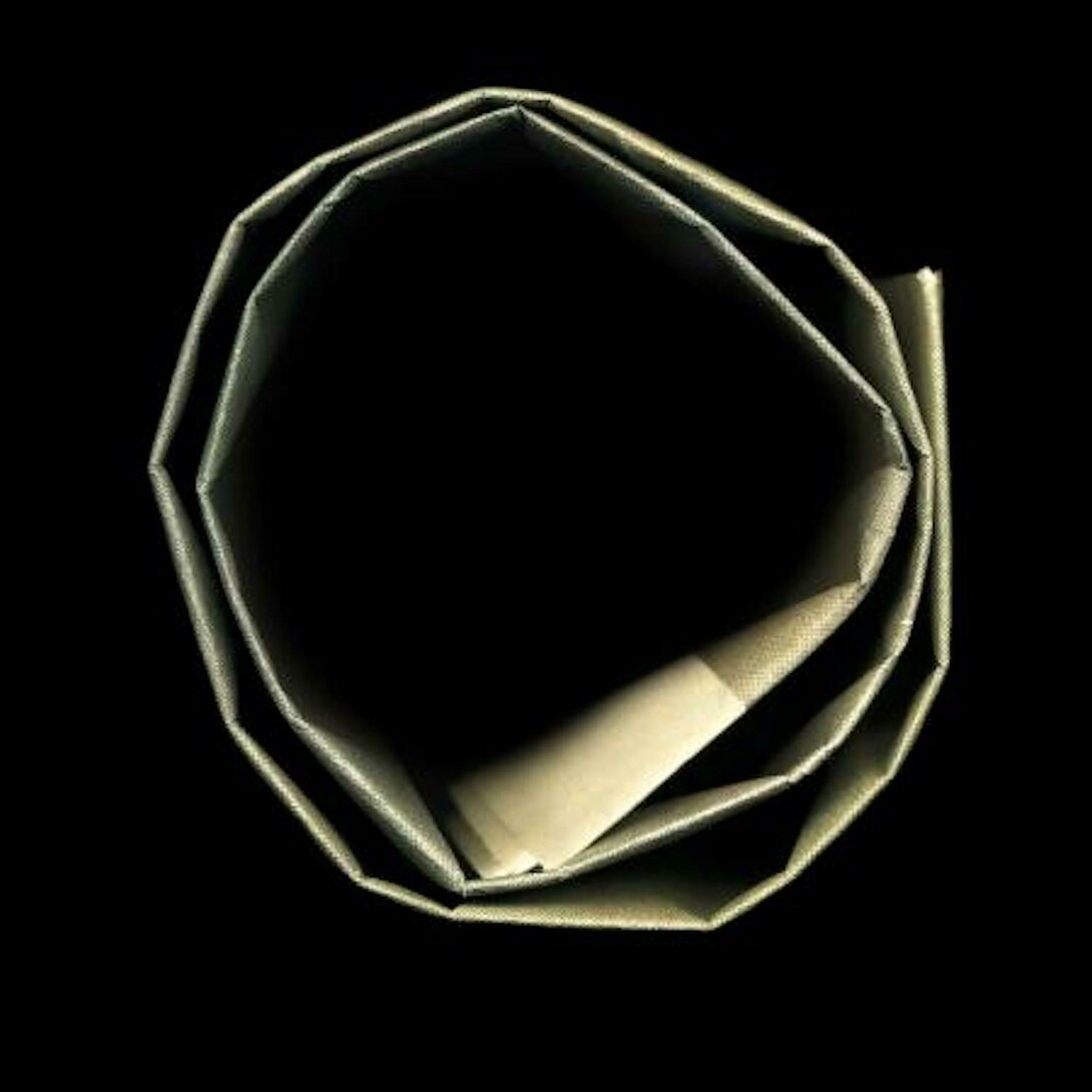 Veronica Bailey | Meer