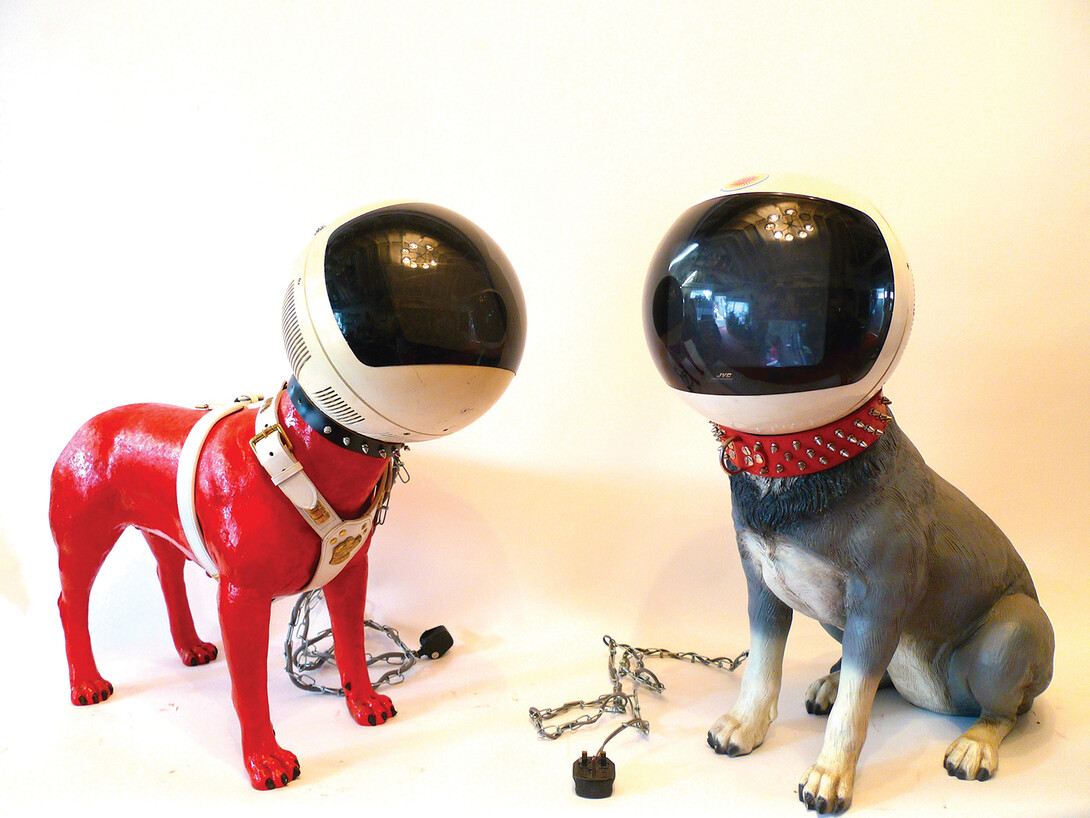 The Incredible world of Finn Stone | Meer