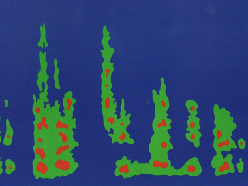 Décio Pignatari | Meer