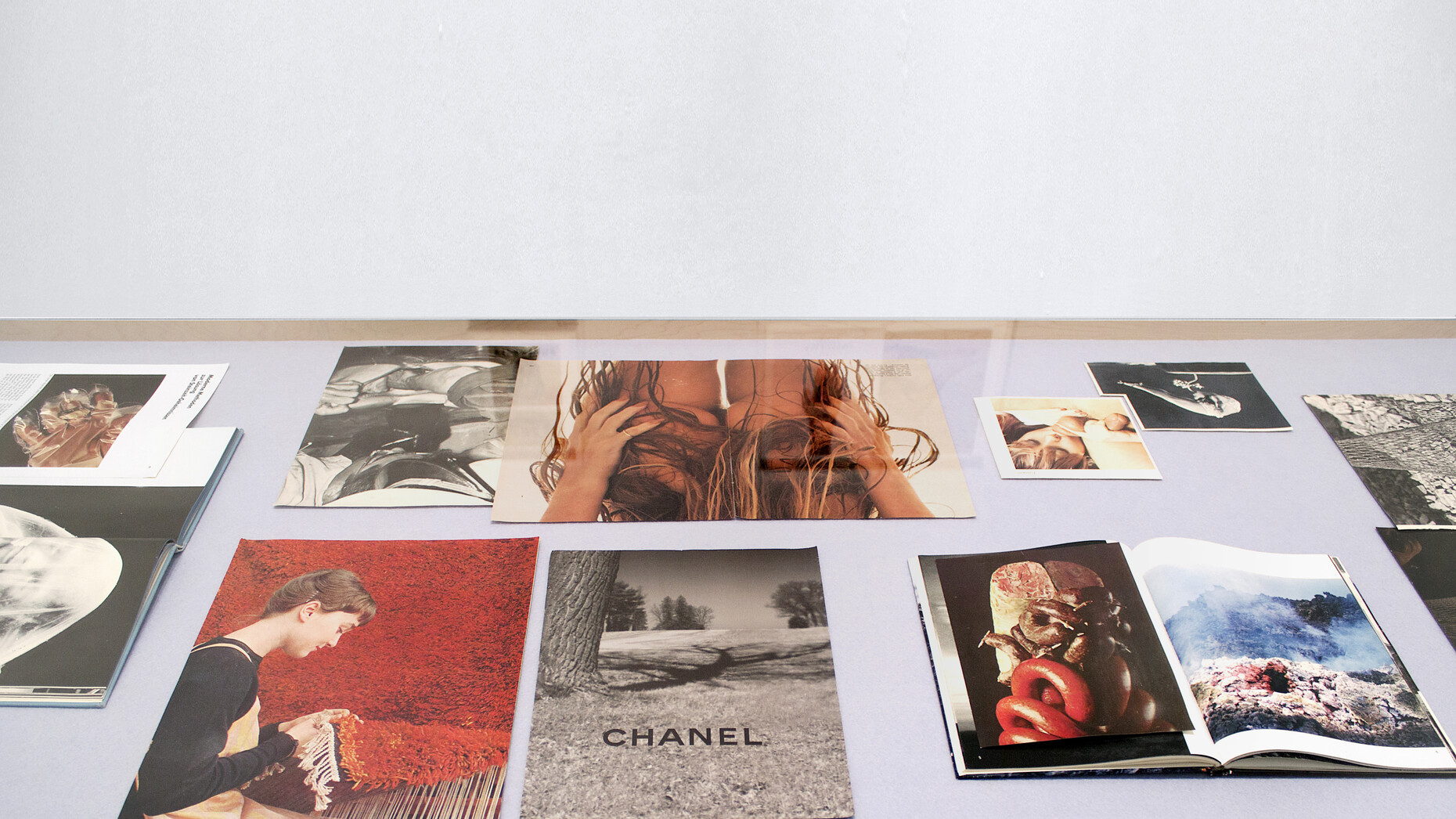 Primary Information / ALBUM | Meer