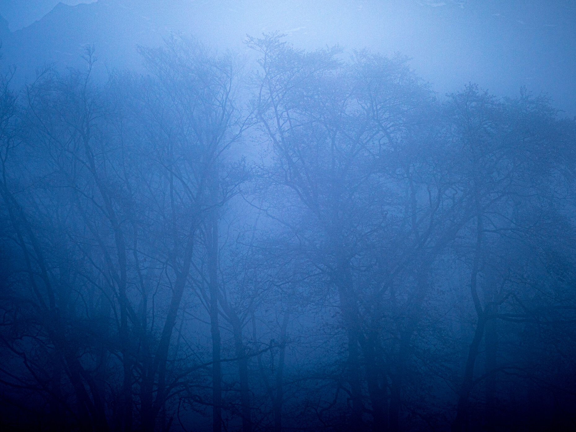 Forbidden city of the heart | Meer