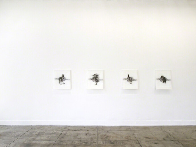 Camille Schefter | Meer