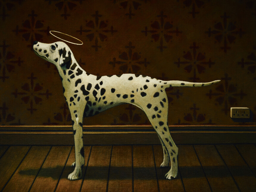 Gavin Watson. Flock & Stock | Meer