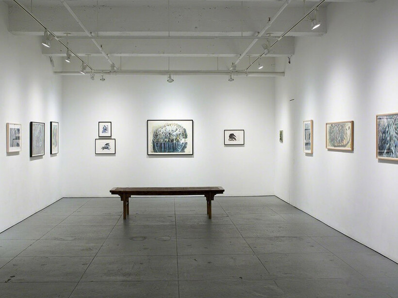 Primordial Heart | Meer