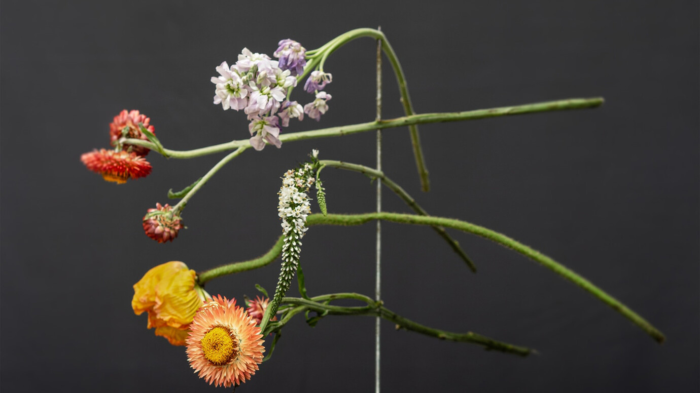 James Henkel. On the nature of things | Meer