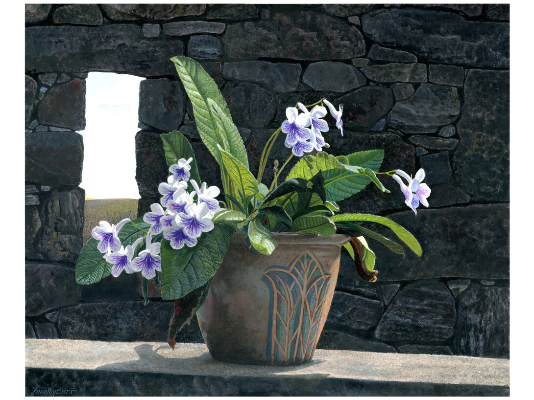 Timothy Barr. My nature | Meer