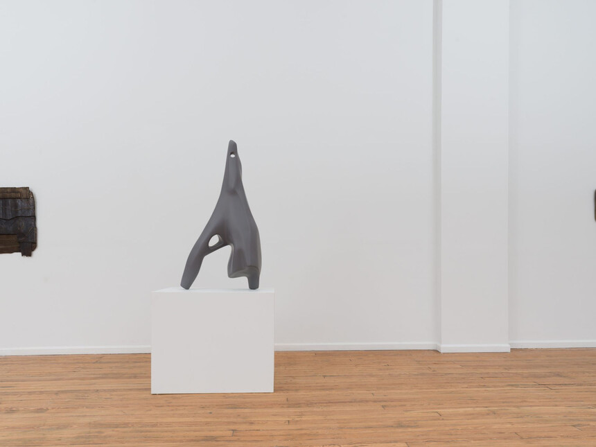 Ara Dymond's solo exhibition | Meer