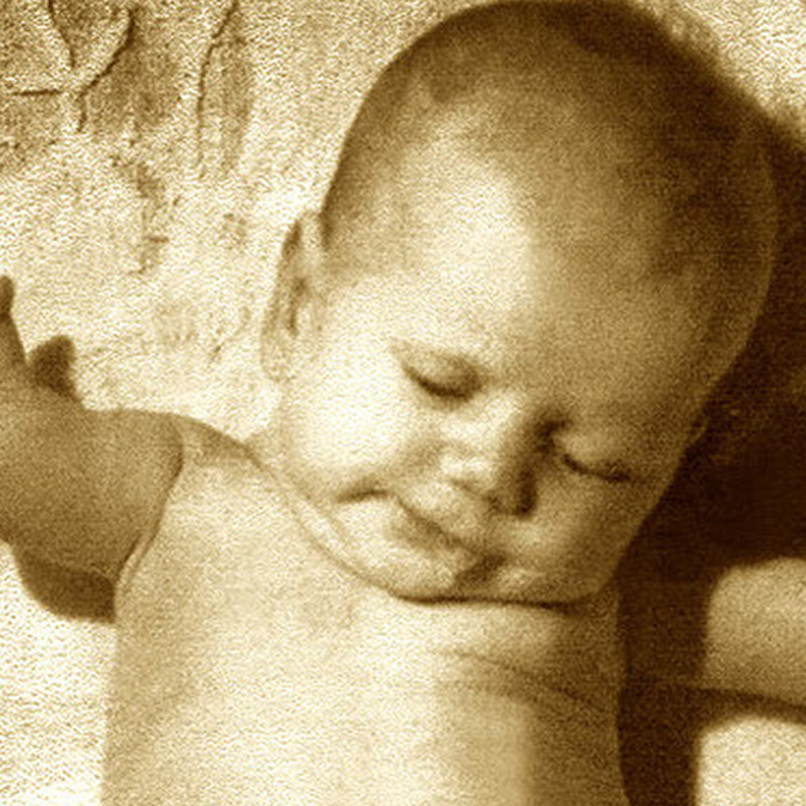 Acerca del genoma y otras cuestiones científicas | Meer