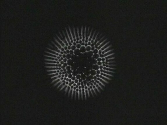 Brian Fridge. Sequences | Meer