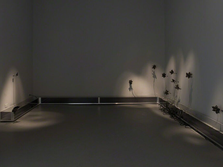 Daniel G. Baird | Meer