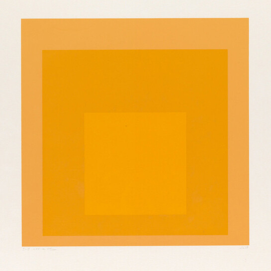 Josef Albers And Robert Mangold | Meer