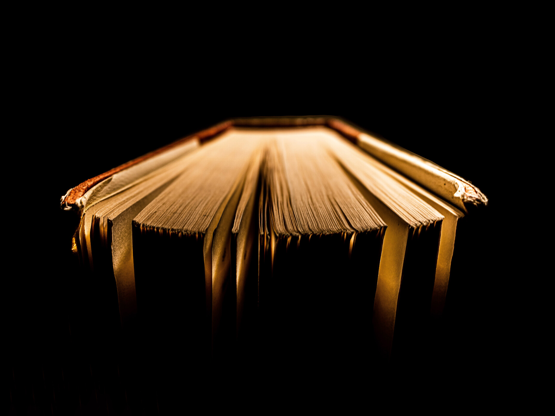 Historia de las palabras: lacónico | Meer