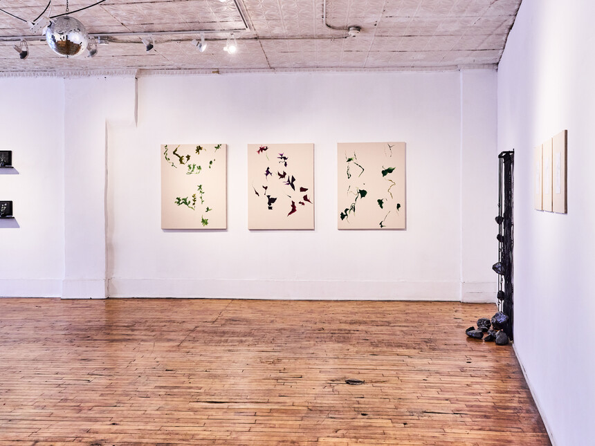 (Un)avoidable silence | Meer