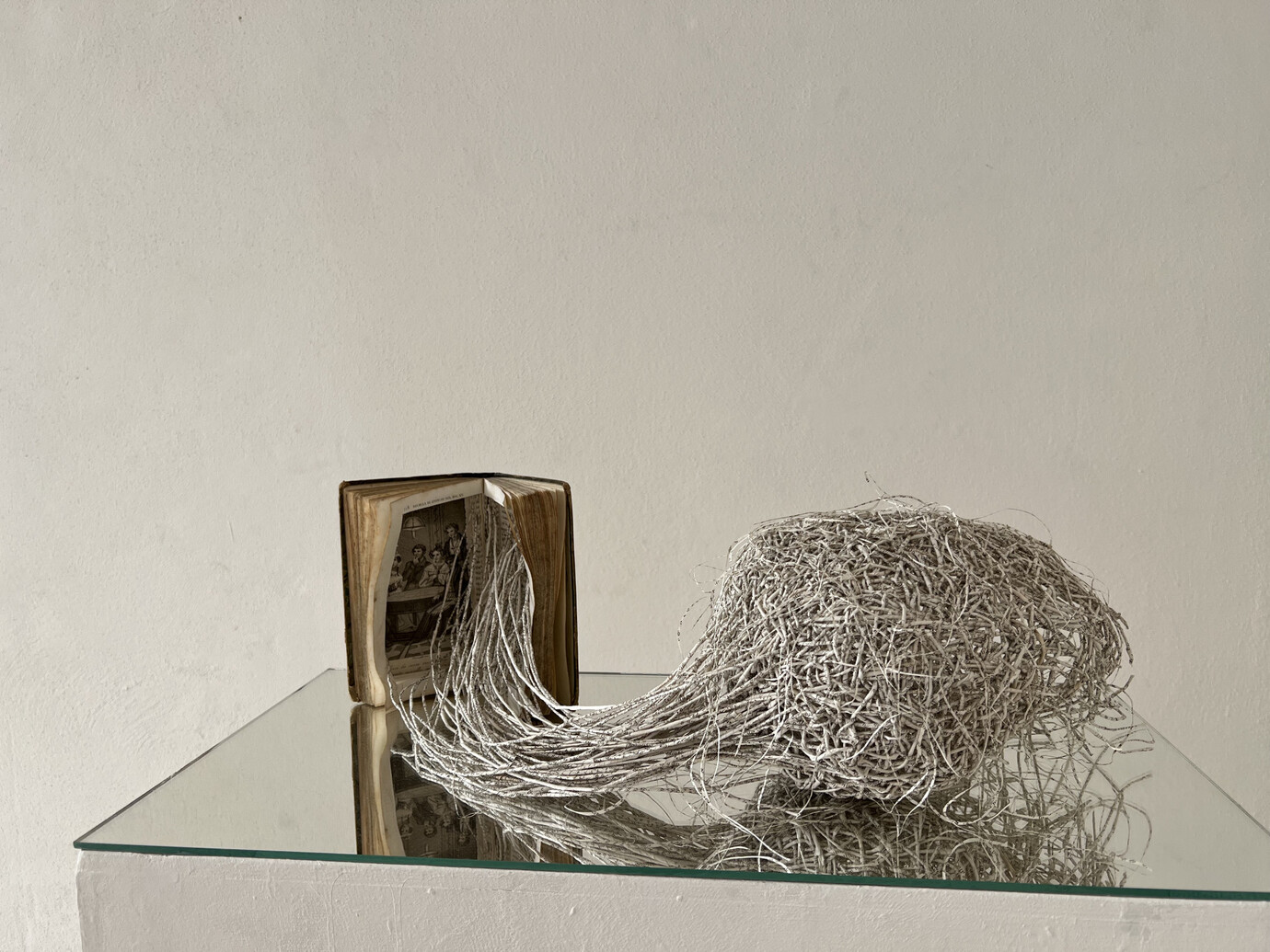 Jukhee Kwon. Liberated | Meer