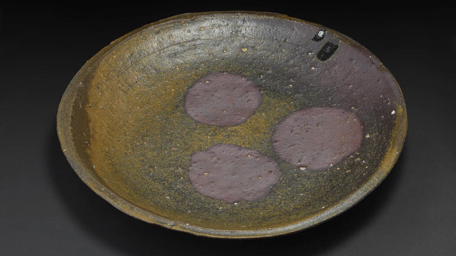 Spotlight: Rob Barnard | Meer