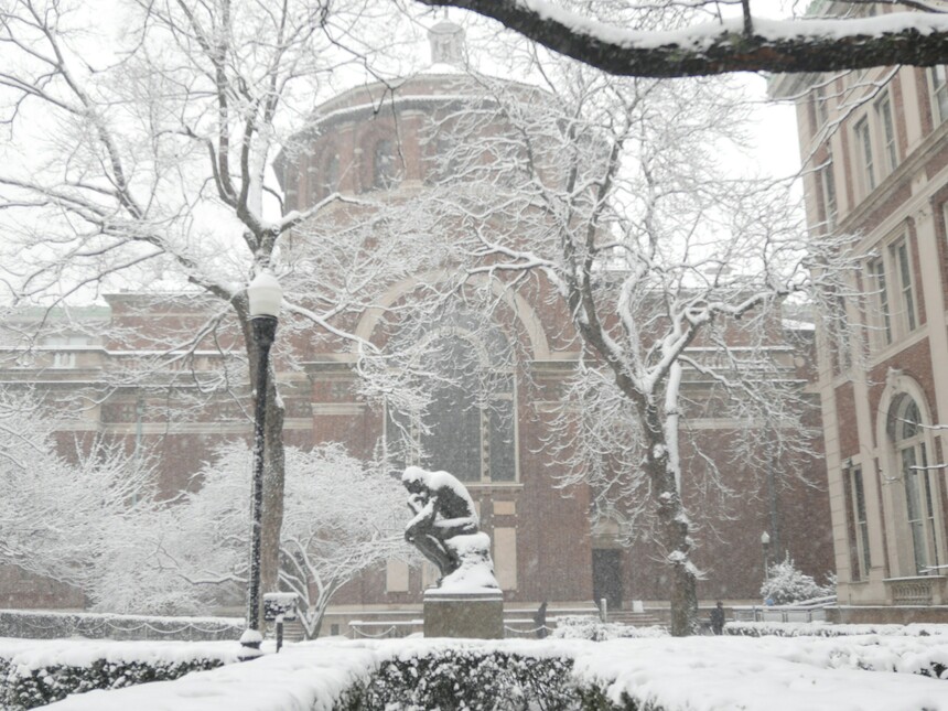 Não penso, logo existo | Meer