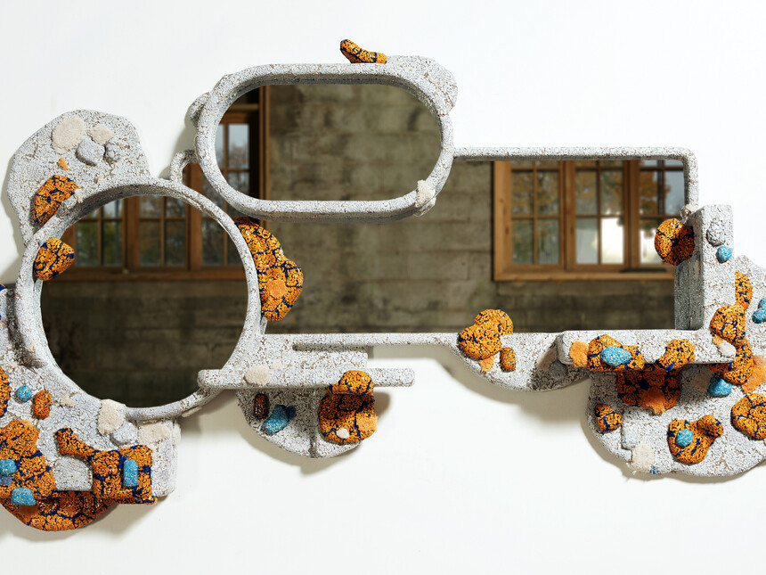 Jack Craig. Protist | Meer