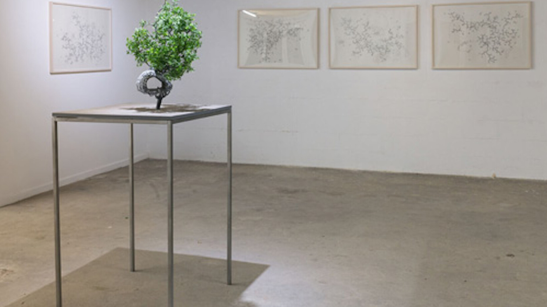 Loris Cecchini | Meer