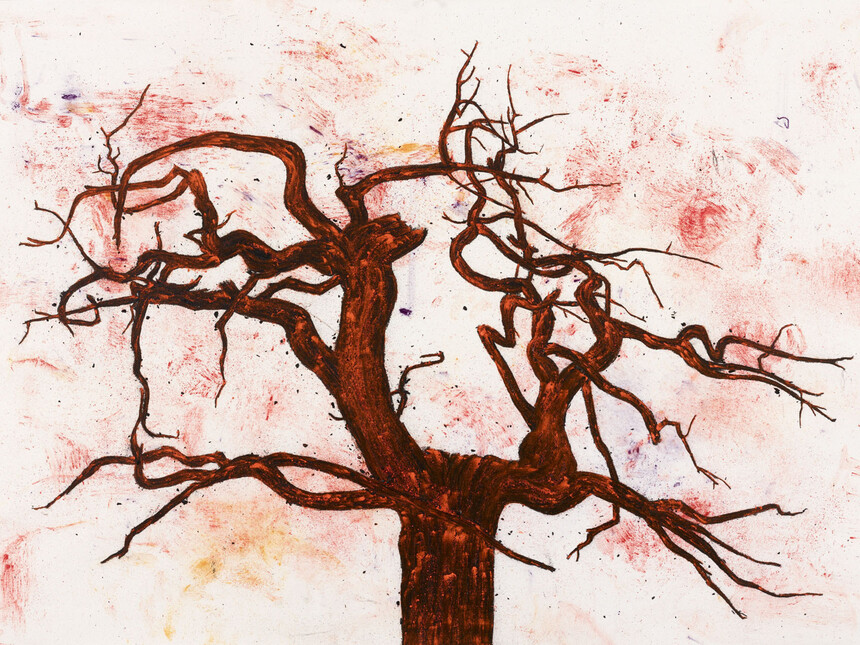 Tony Bevan. Trees and Archives | Meer