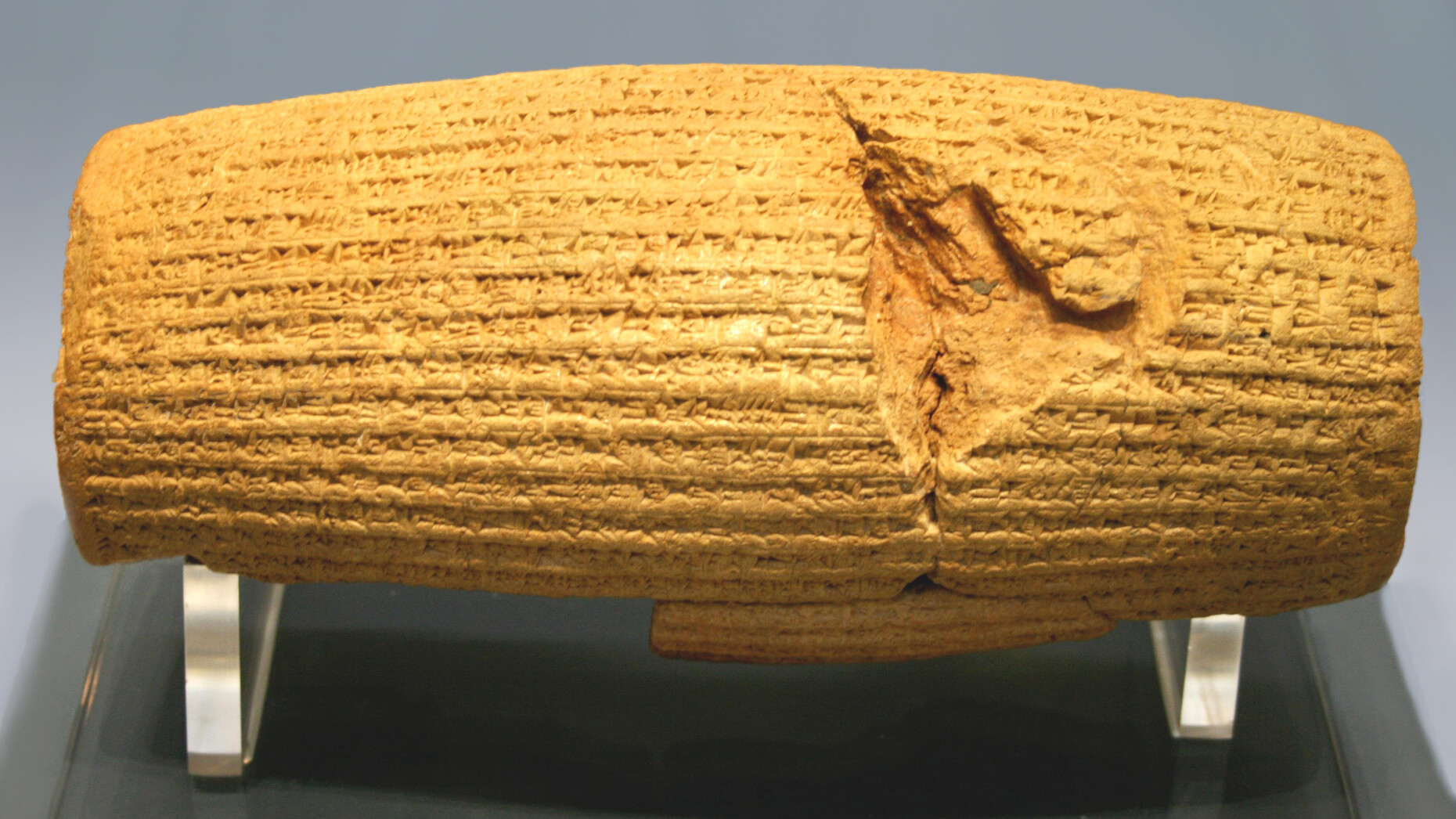 Cyrus the Great: father of a nation | Meer