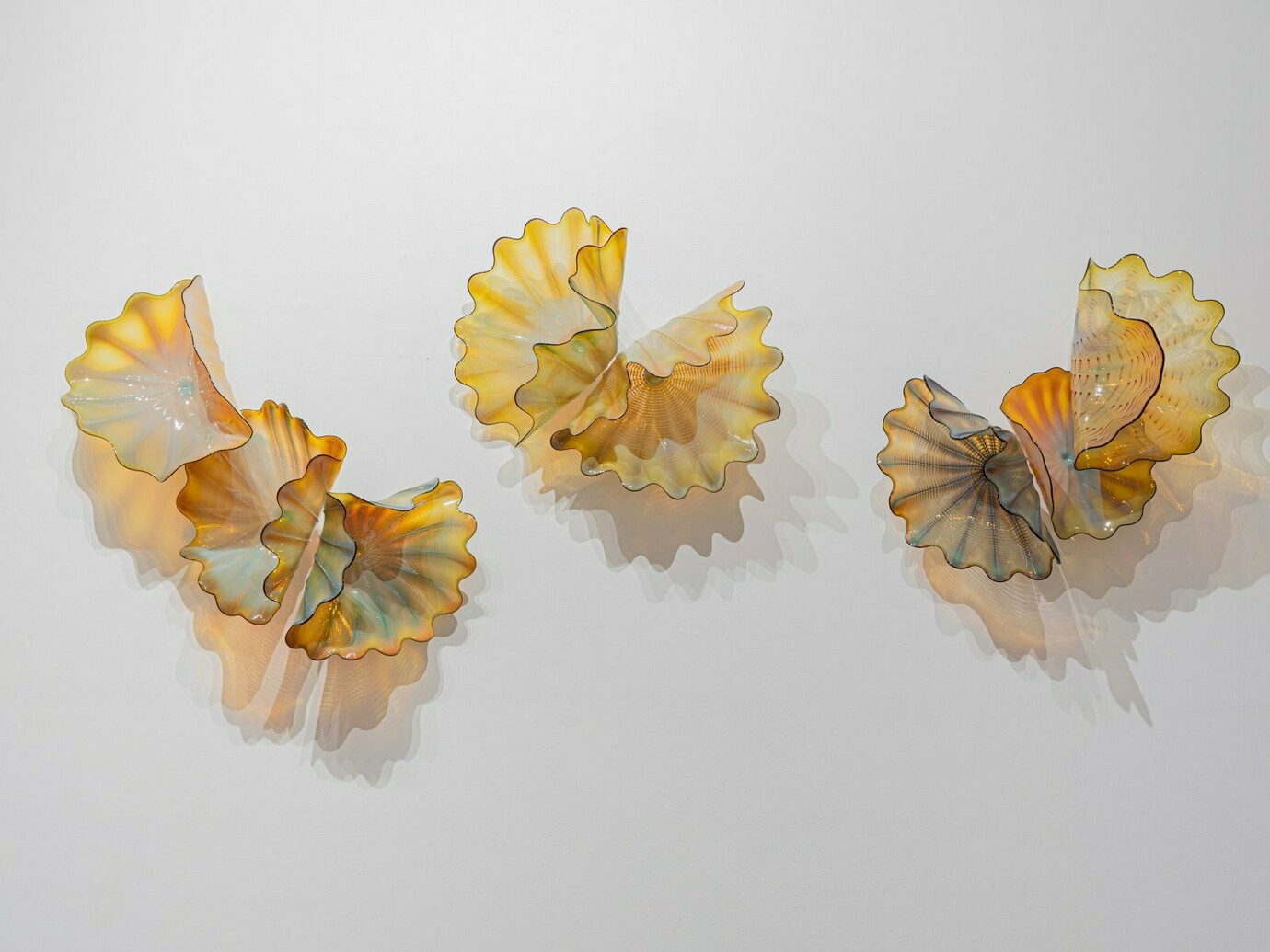 Chihuly: four decades of iconic work | Meer