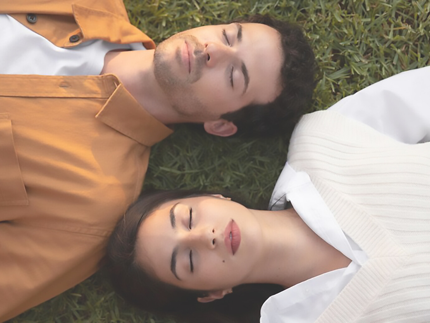 Healing power of nature: embracing green spaces | Meer