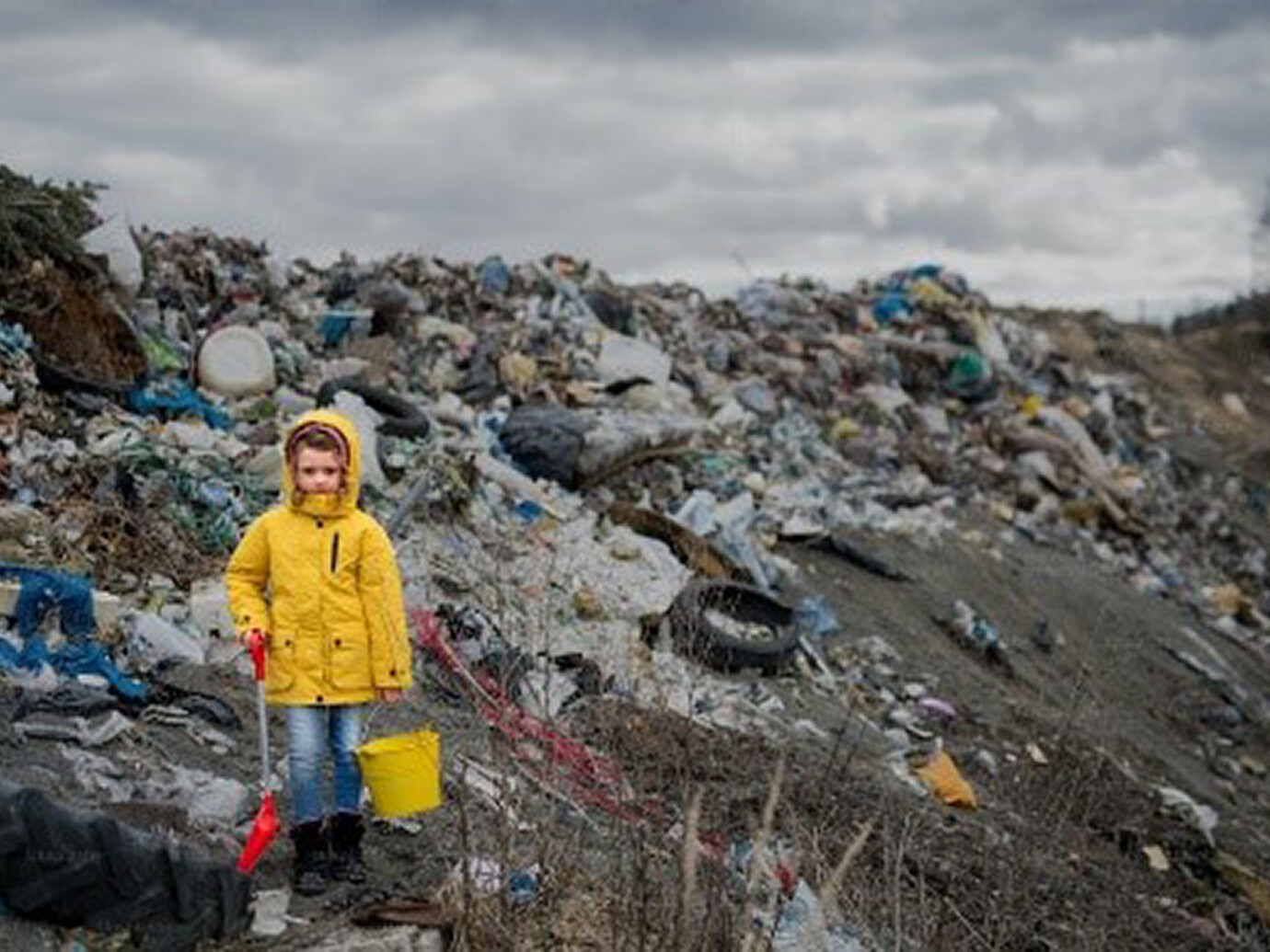 Our precarious planet earth | Meer