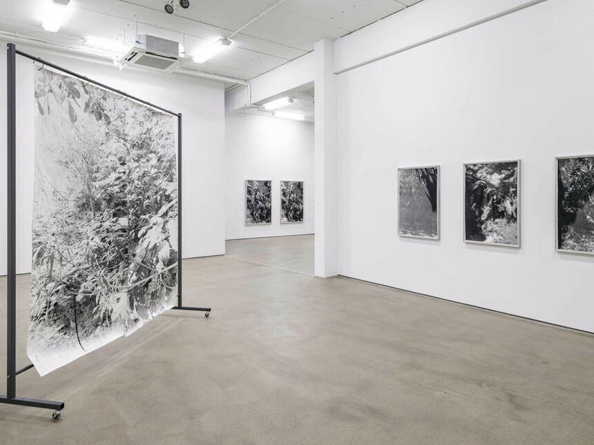 The interstices of this place | Meer