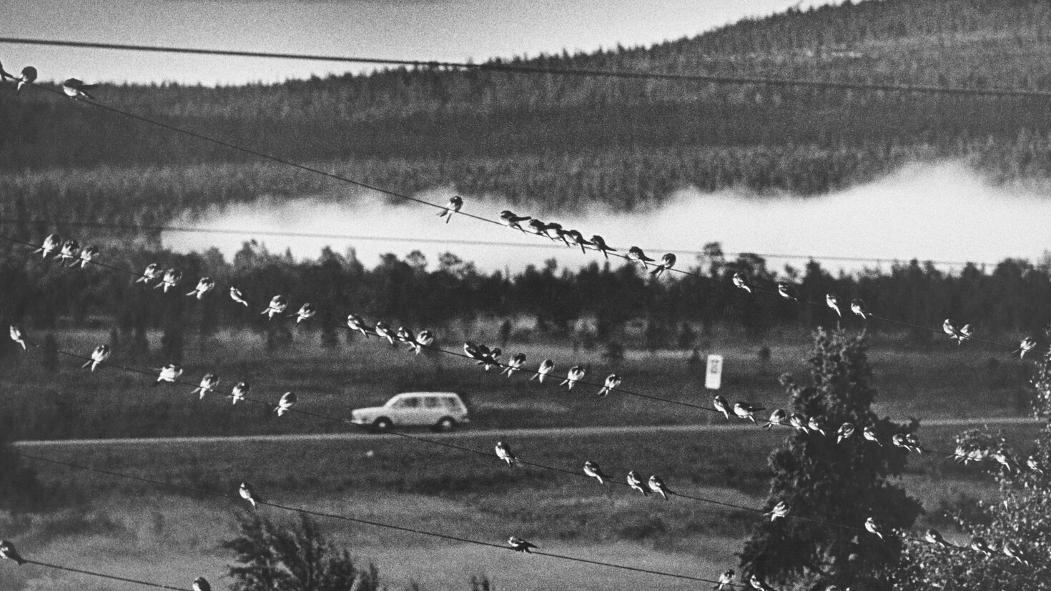 Finnish Everyday Life | Meer