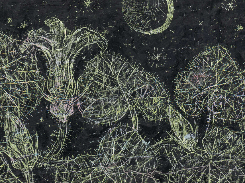 Perfectly imperfect | Meer