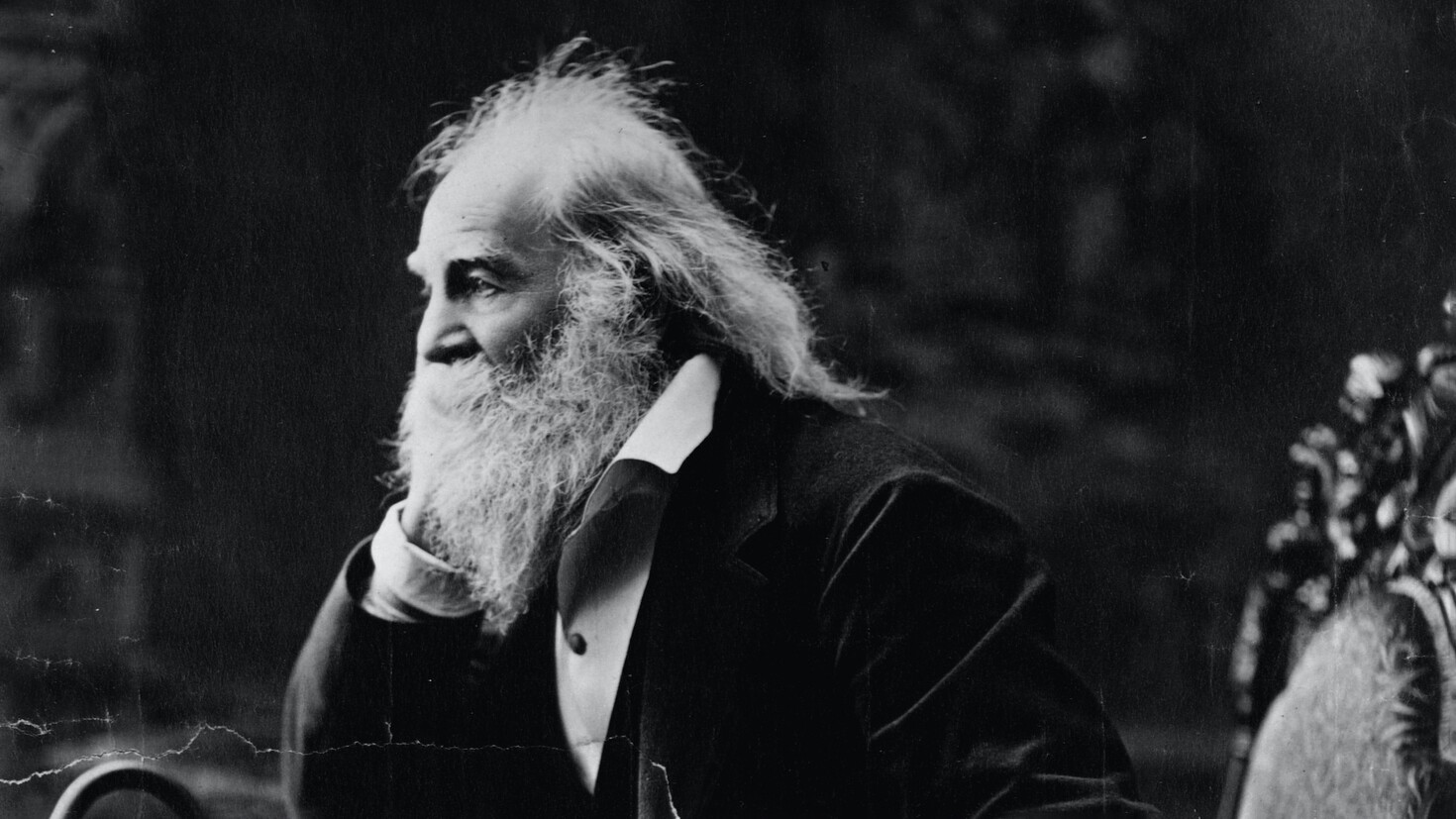 Walt Whitman y la celebración de la vida en Hojas de Hierba | Meer