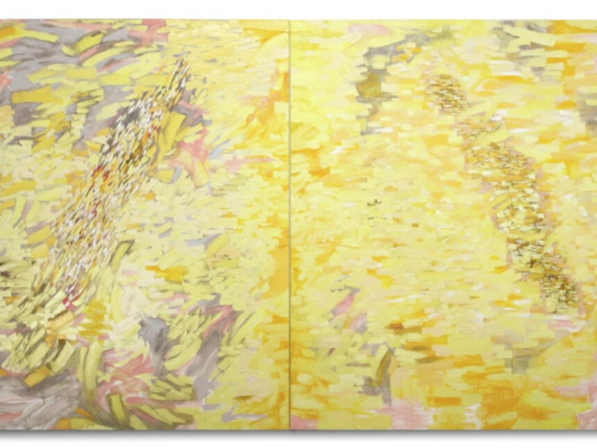 Judith Murray | Meer