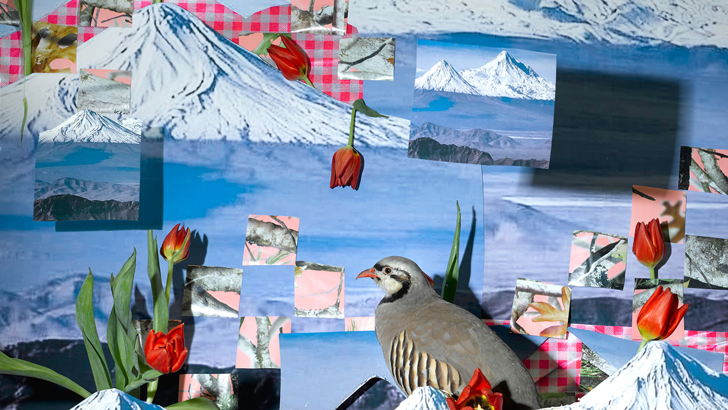 Sheida Soleimani. Birds of passage | Meer