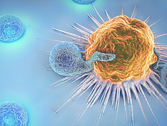 Epigenetic reprogramming in cancer: diagnosis and treatment | Meer