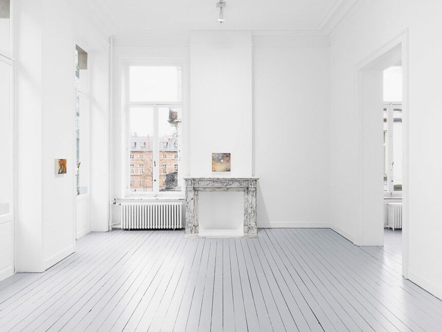 Skunks misery road | Meer