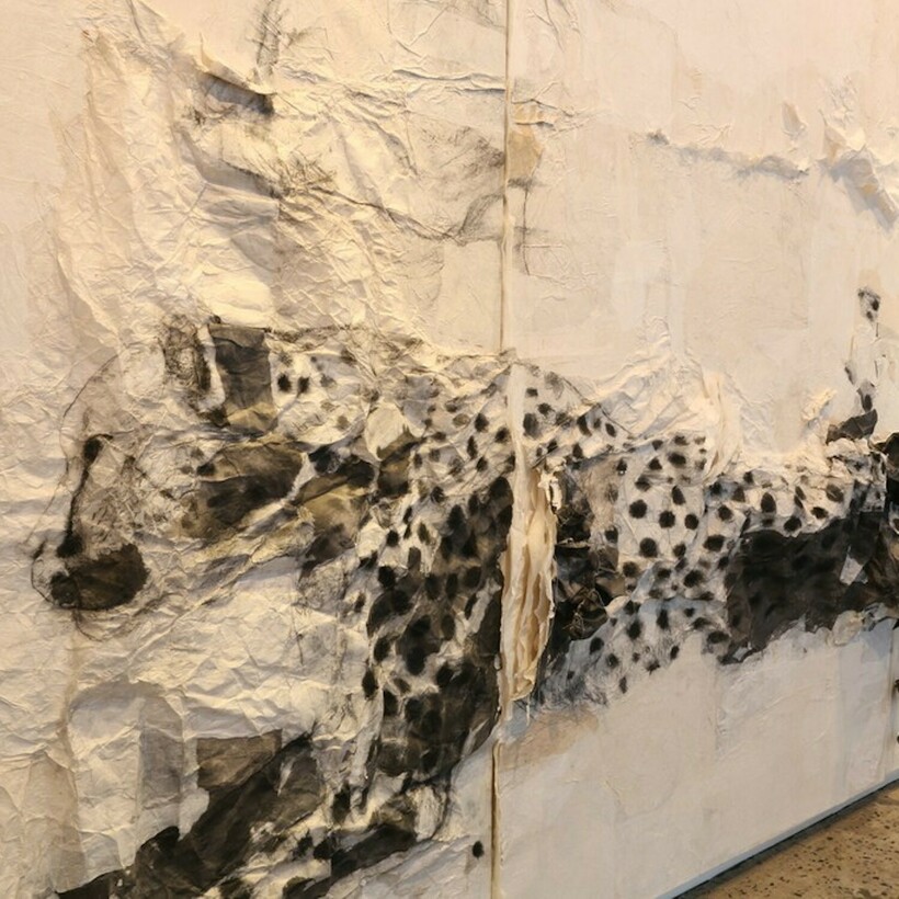 Lin Yan, Song Xin and Cui Fei | Meer