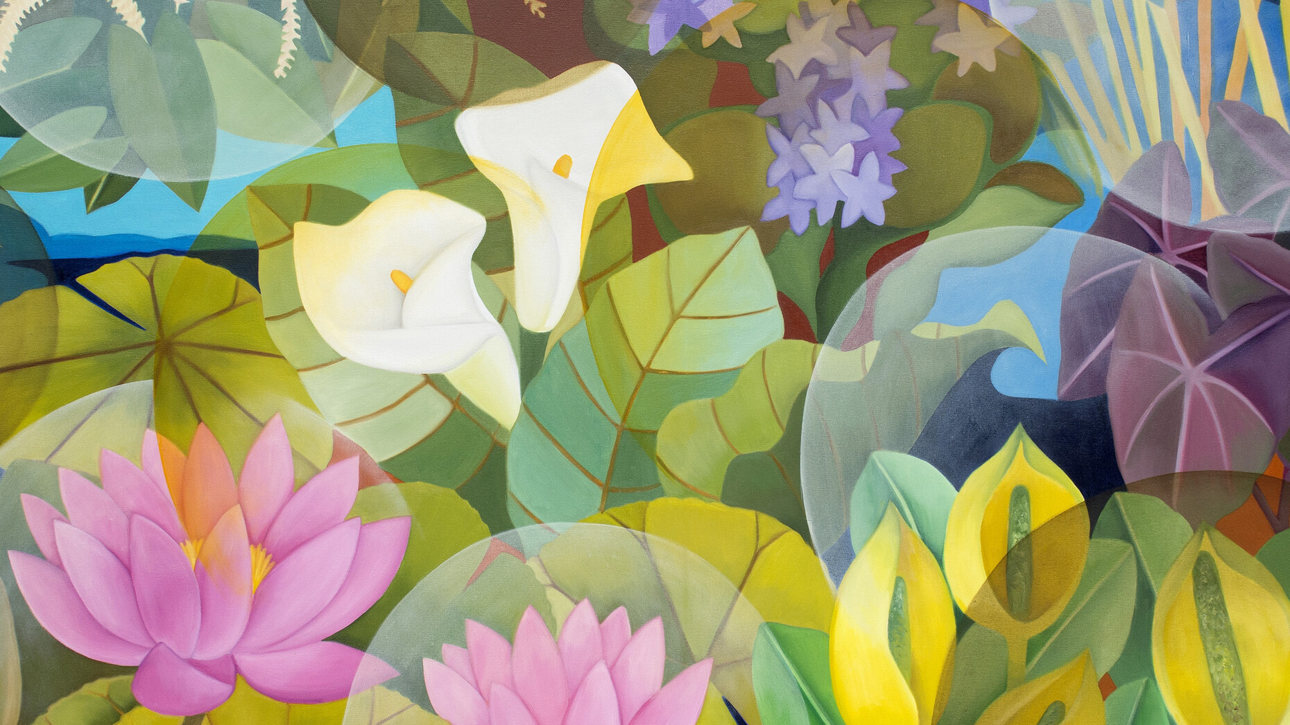 Senaka Senanayake | Meer