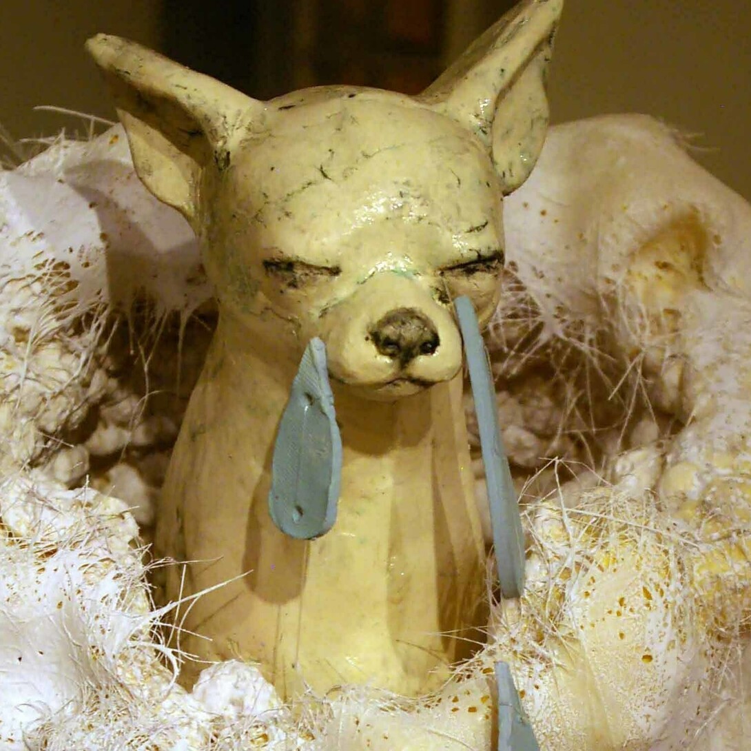 Edith Karlson and Jass Kaselaan | Meer