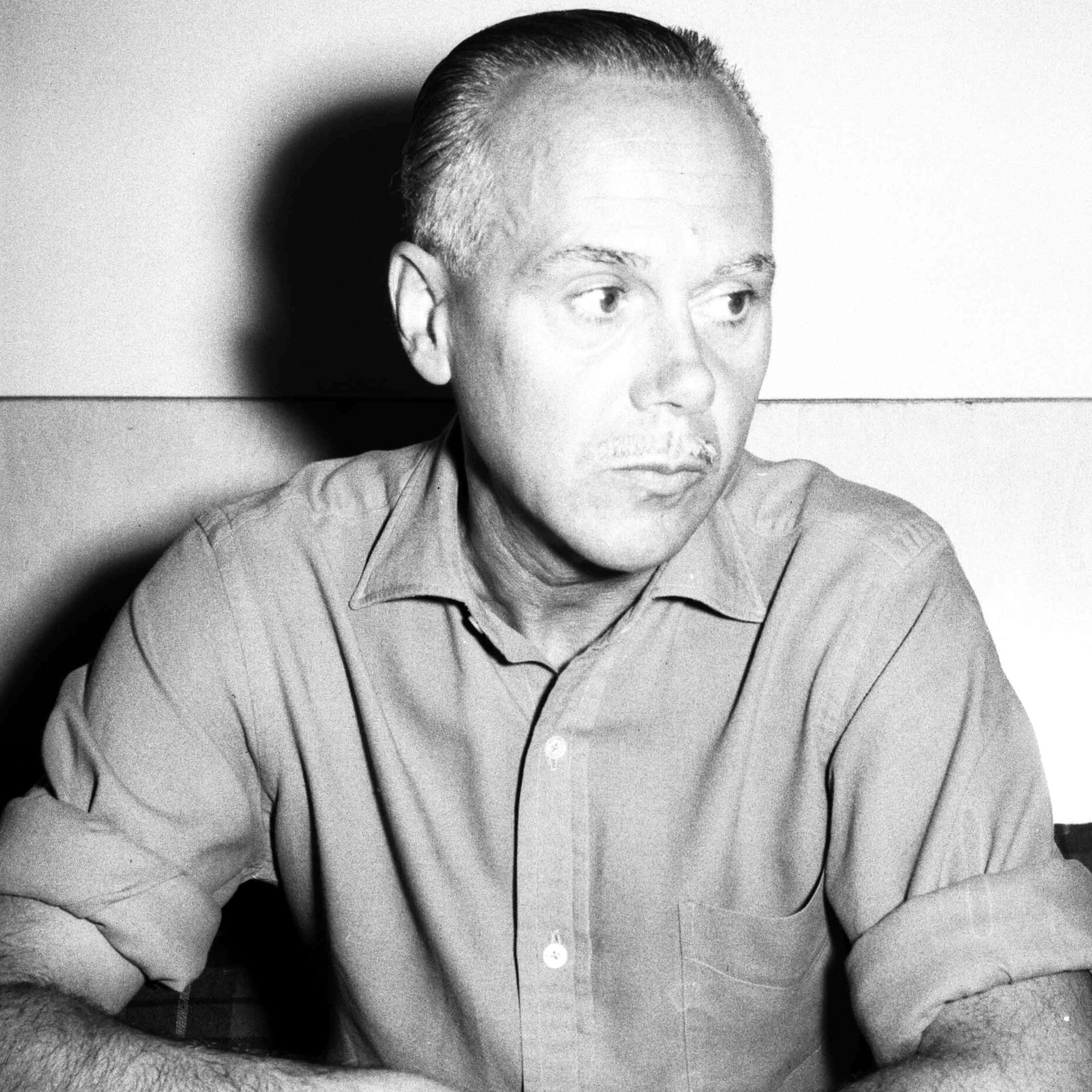 Reflexiones alrededor de un poema de Luis Cernuda | Meer