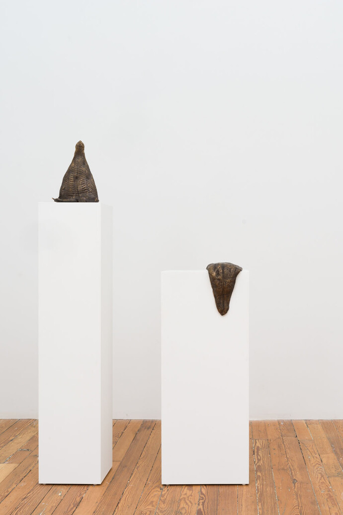 Ara Dymond's solo exhibition | Meer