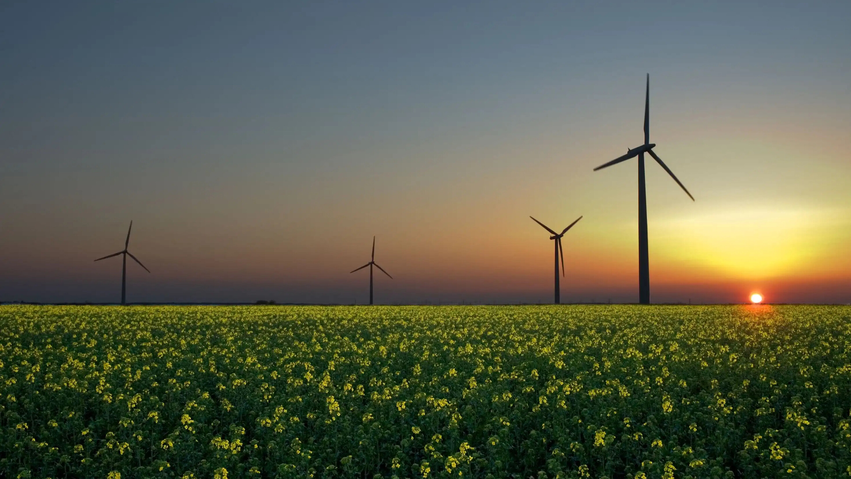 Contexto energético chileno y alternativas sostenibles | Meer