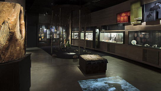 The Forest of the Finns | Meer