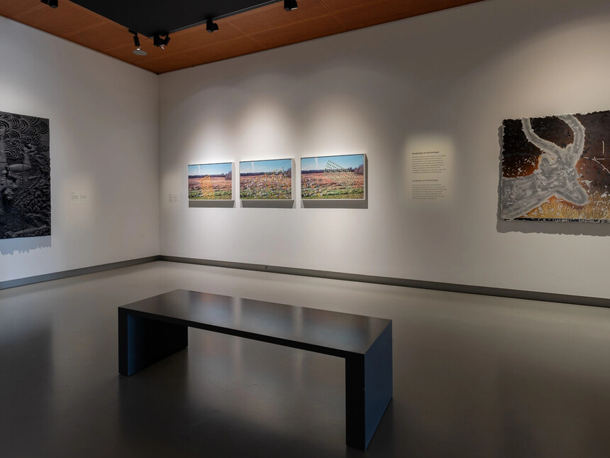 Beyond the horizon | Meer