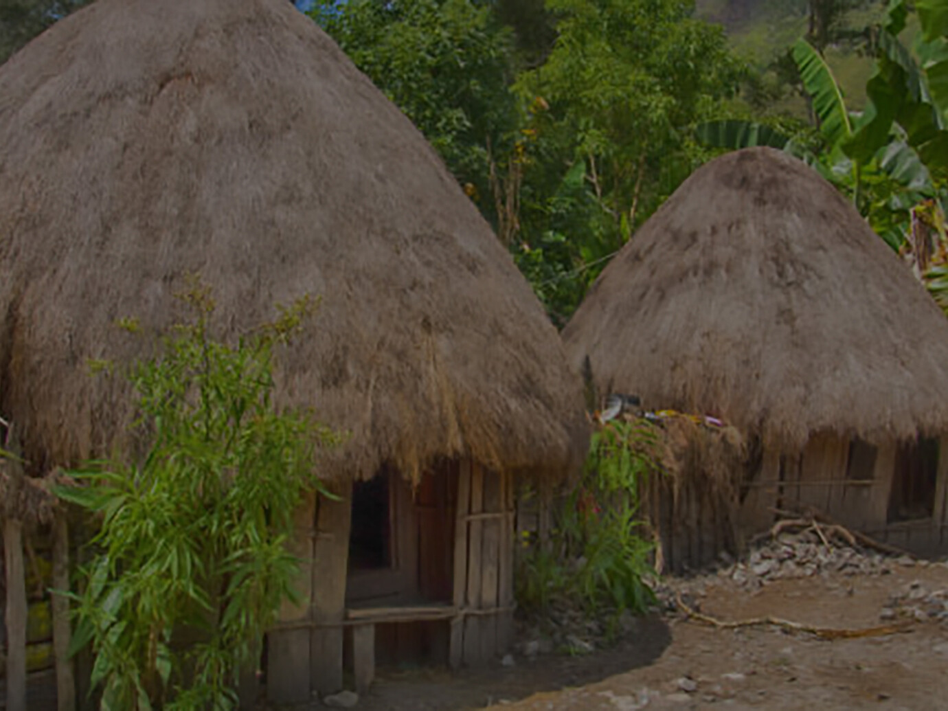 Sustainable vernacular architecture in Papua New Guinea | Meer