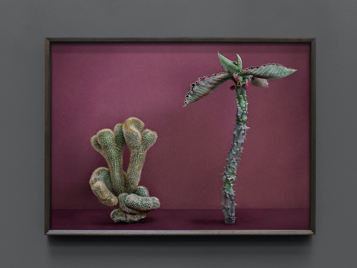 Mario Testino. South Americana | Meer