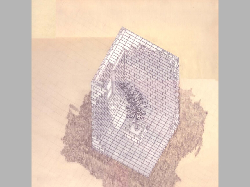 Allan Wexler, Tree-window in block | Schema Projects