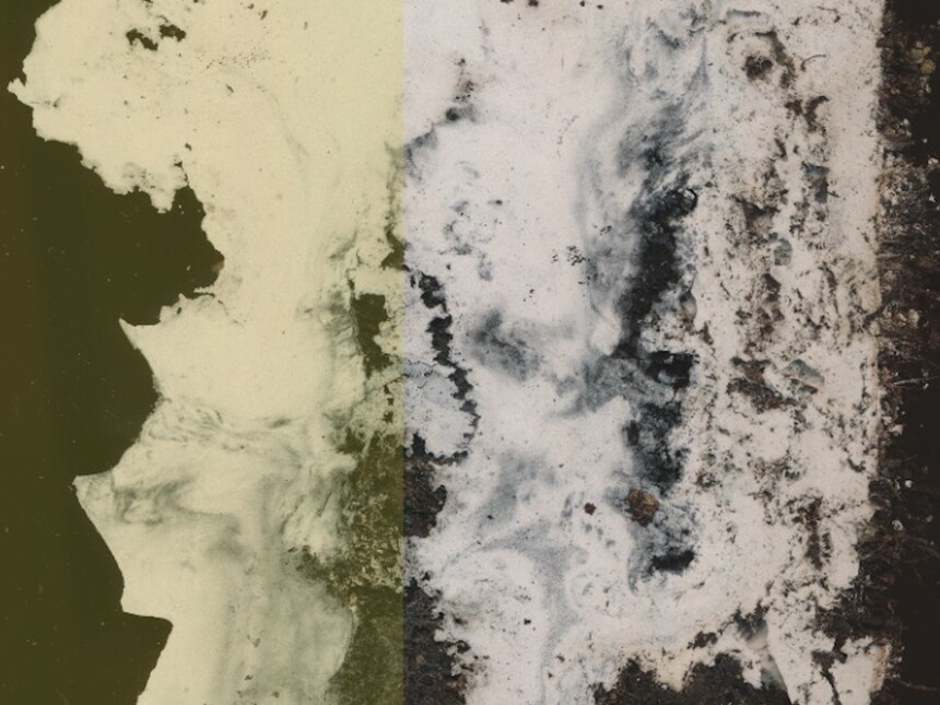 Sarah Burger. Courtesy of Vitrine | Vitrine